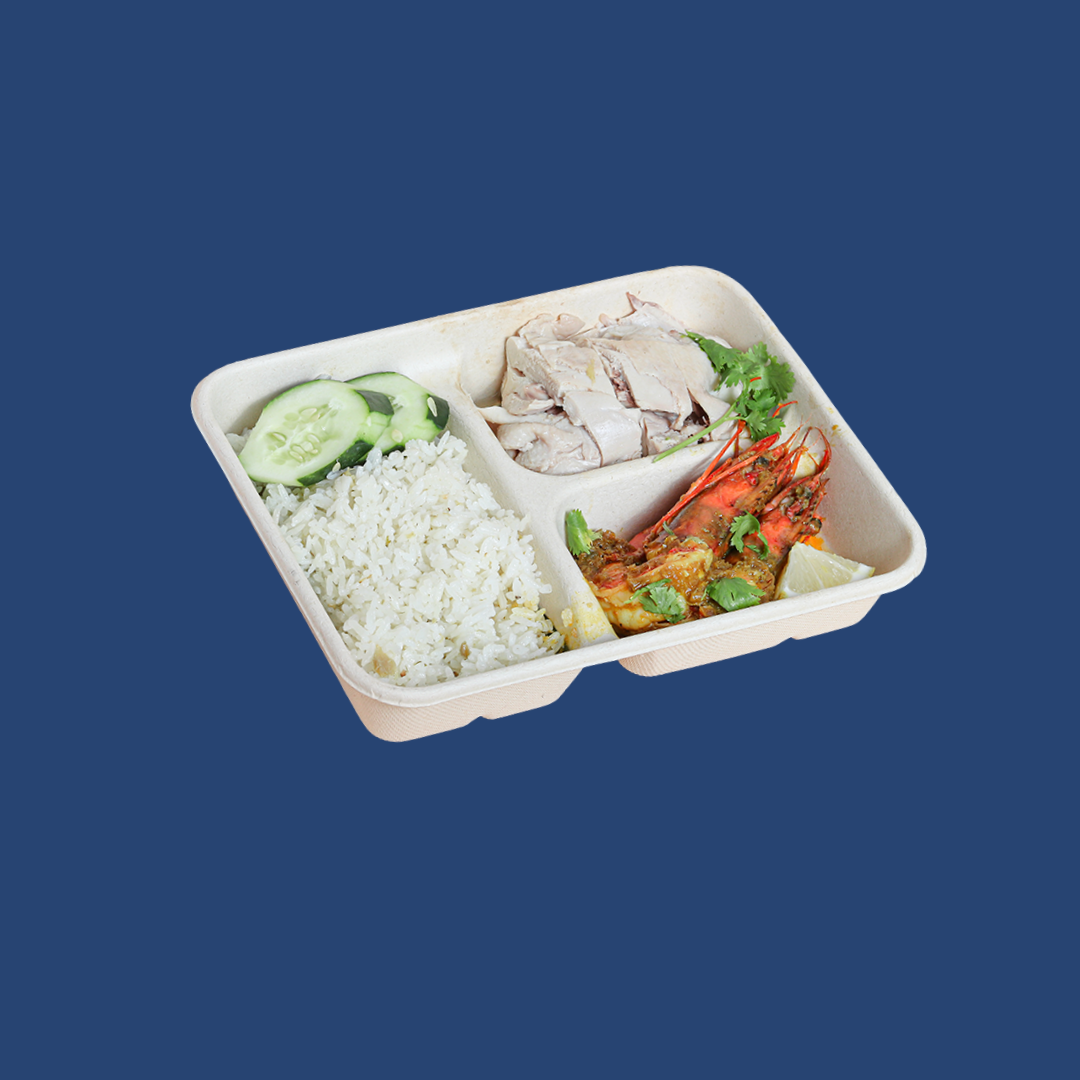 Bento Boxes JR – Modern Sustainable Solutions